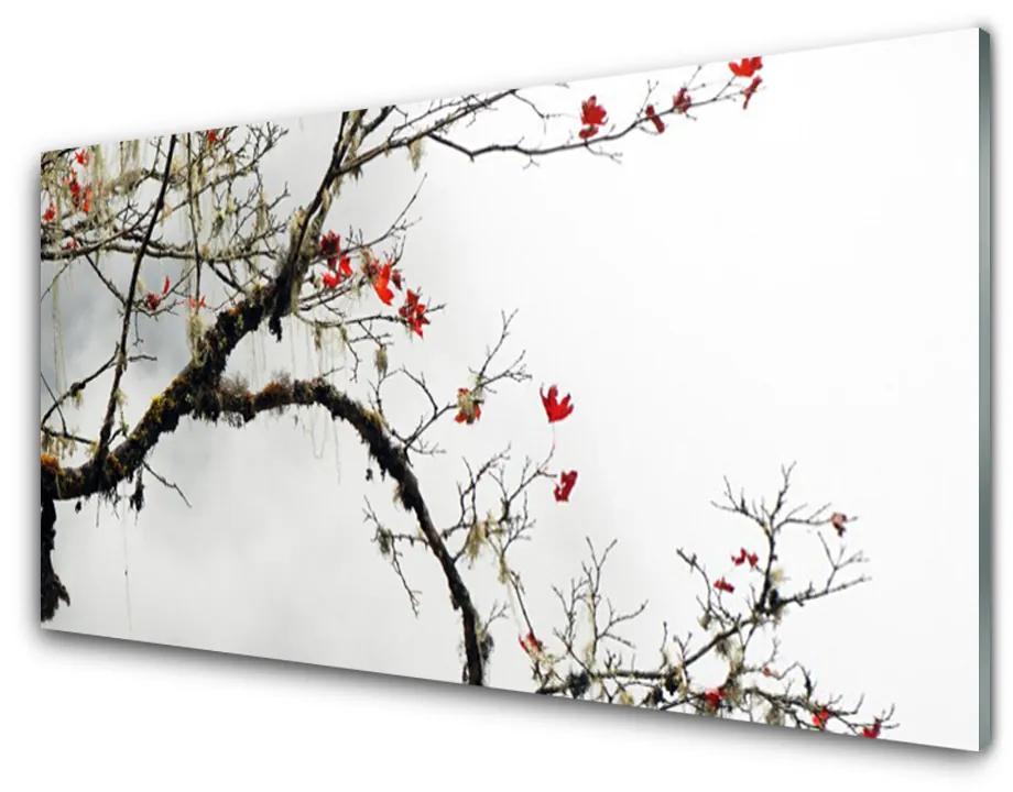 akrylový obraz Větev Příroda Rostlina 125x50 cm