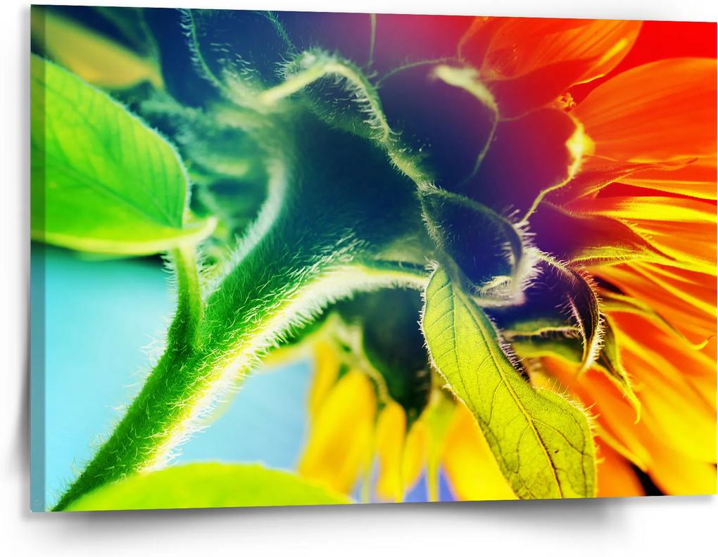 Obraz - Duhová květina 150x110 cm
