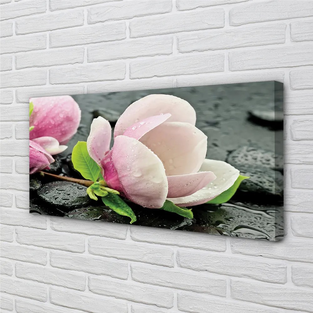 Obrazy na plátně Magnolia kameny 140x70 cm