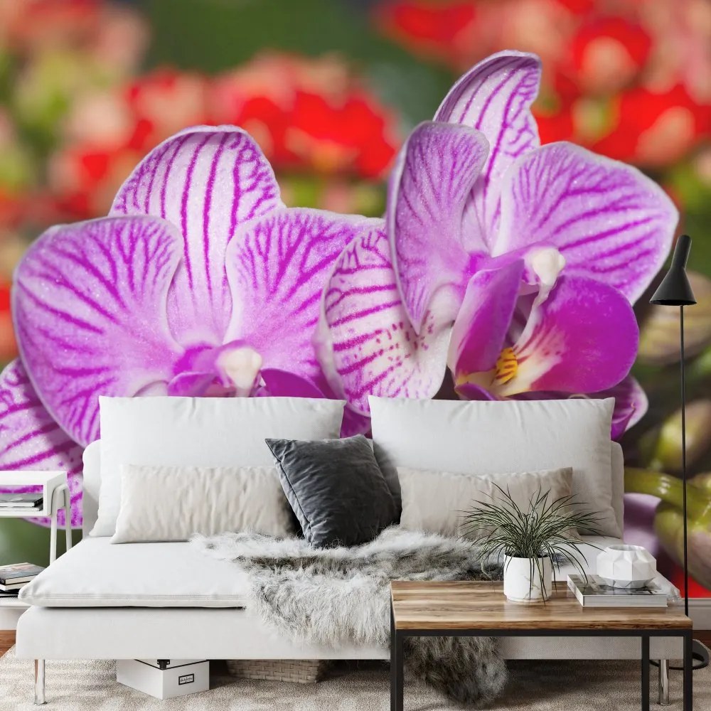 Fototapeta Optická Orchidea 3D Strukturální vinyl 416x290