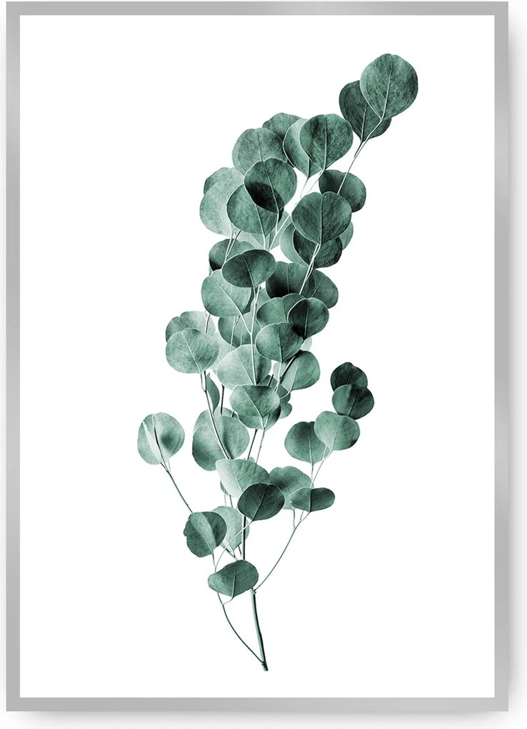 Plakát Eucalyptus Emerald Green