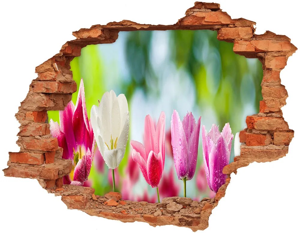 Wallmuralia Fototapeta díra na zeď Tulipány 90x70 cm