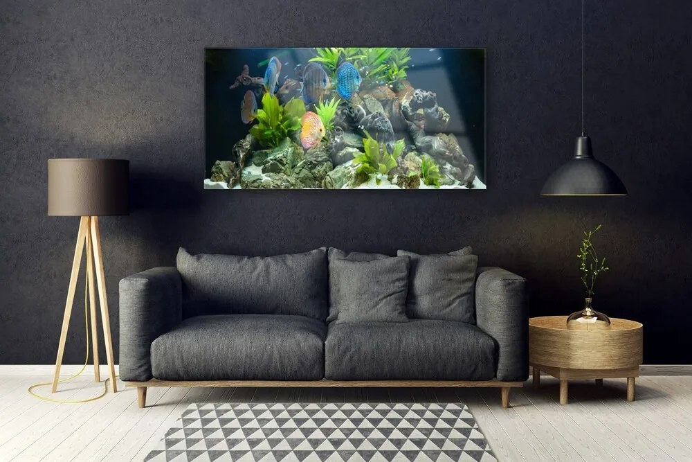 akrylový obraz Ryba Kameny Listy Příroda 120x60 cm