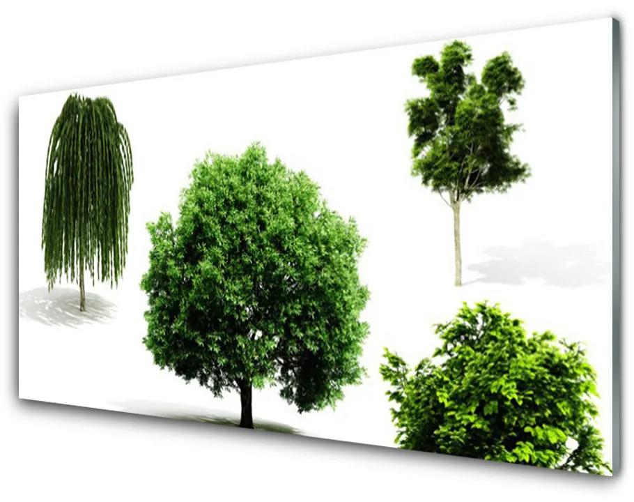 Plexisklo-obraz Stromy Příroda 120x60 cm