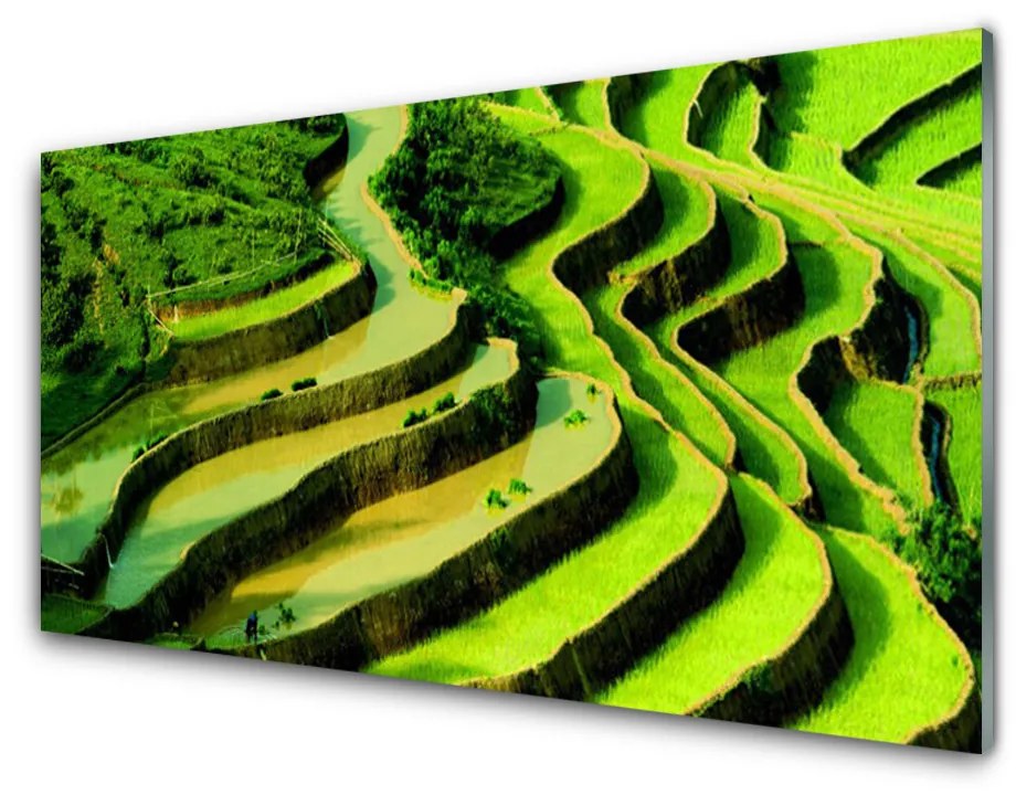 akrylový obraz Pole Rýže Les Umění 120x60 cm