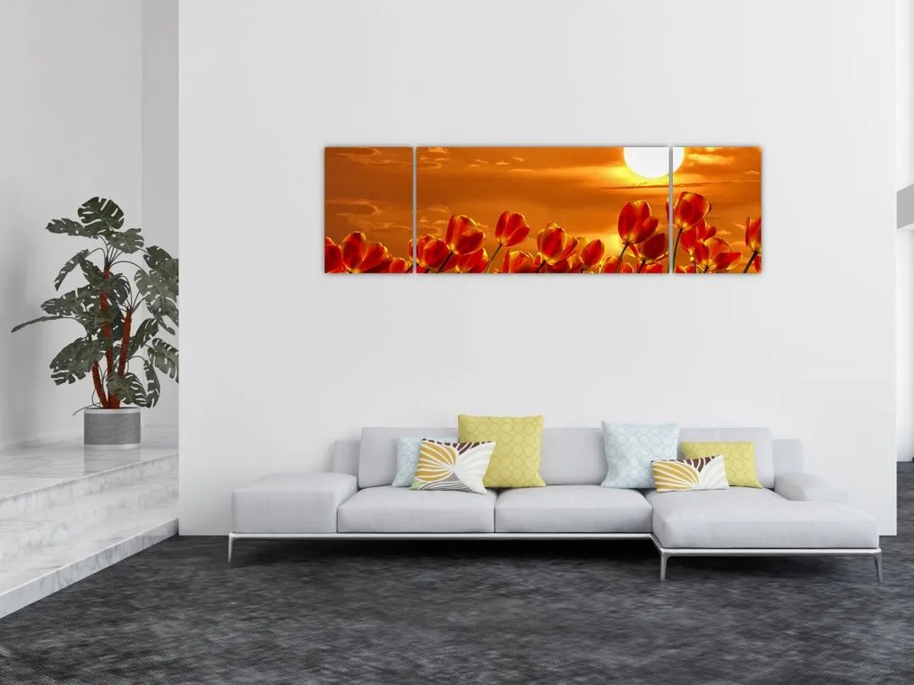 Obraz rozkvetlého lánu s tulipány (170x50 cm)