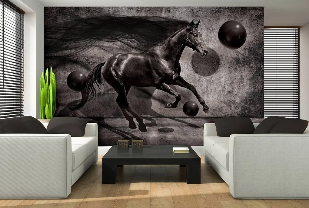Fototapeta - Černý kůň (254x184 cm)