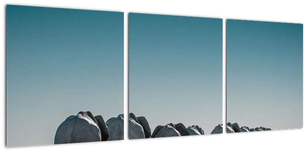 Obraz - Odchod slonů (90x30 cm), 40 dalších rozměrů