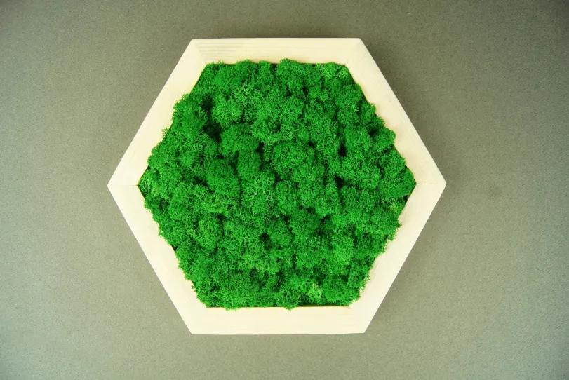 OznTo Obraz šestiúhelník s mechem průměr 30cm zelený