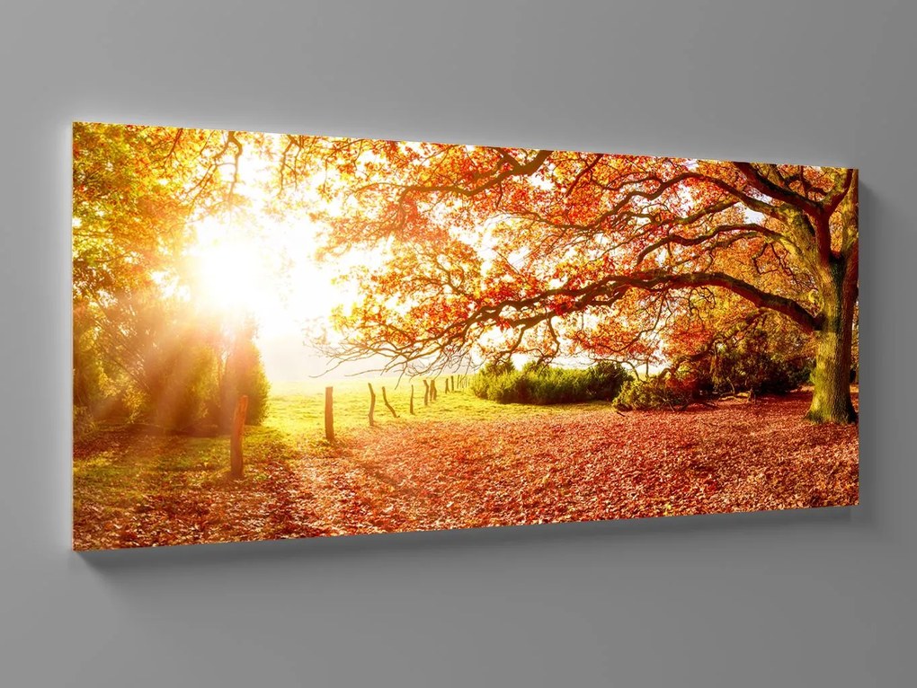XXL obraz podzimní krajina Rozměr: 250 x 125 cm