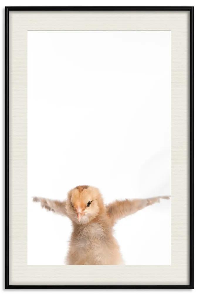 Plakát Kuřátko - kompozice pro děti s mladým ptákem, který roztahuje křídla