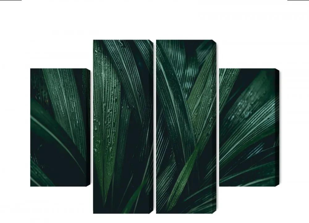 Vícedílný obraz Tmavě Zelené Listy Na Makro Stupnici Nedostatek Nedostatek Přírodní plátno 160x120