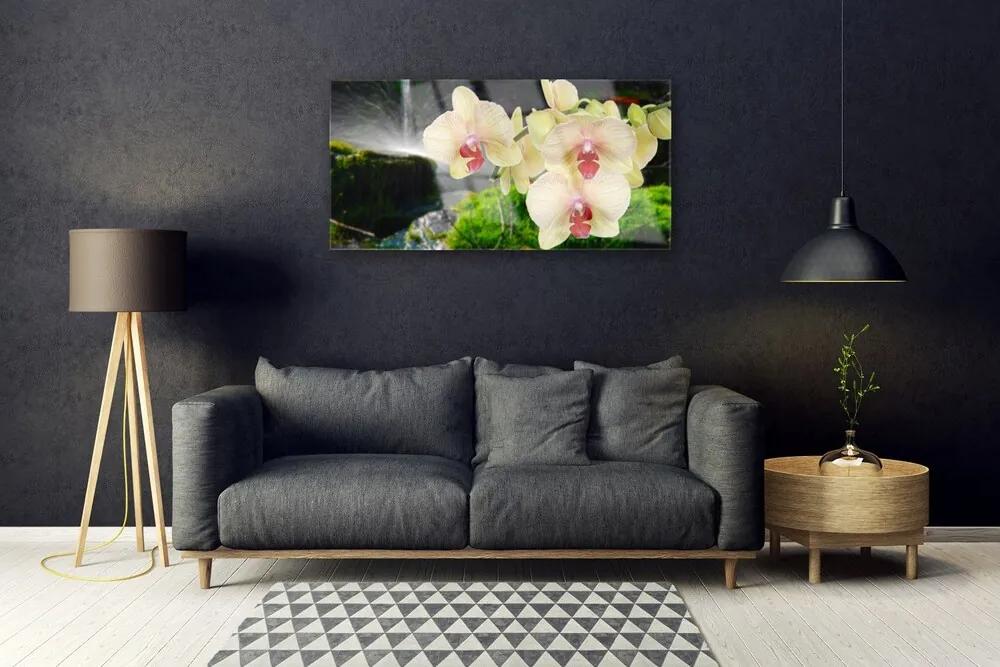 Obraz na skle Stromy Příroda Rostlina 120x60 cm