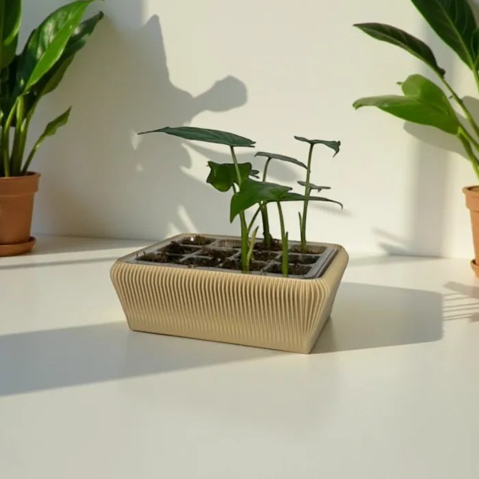PlantBee Box na množení Vivera čokoládová