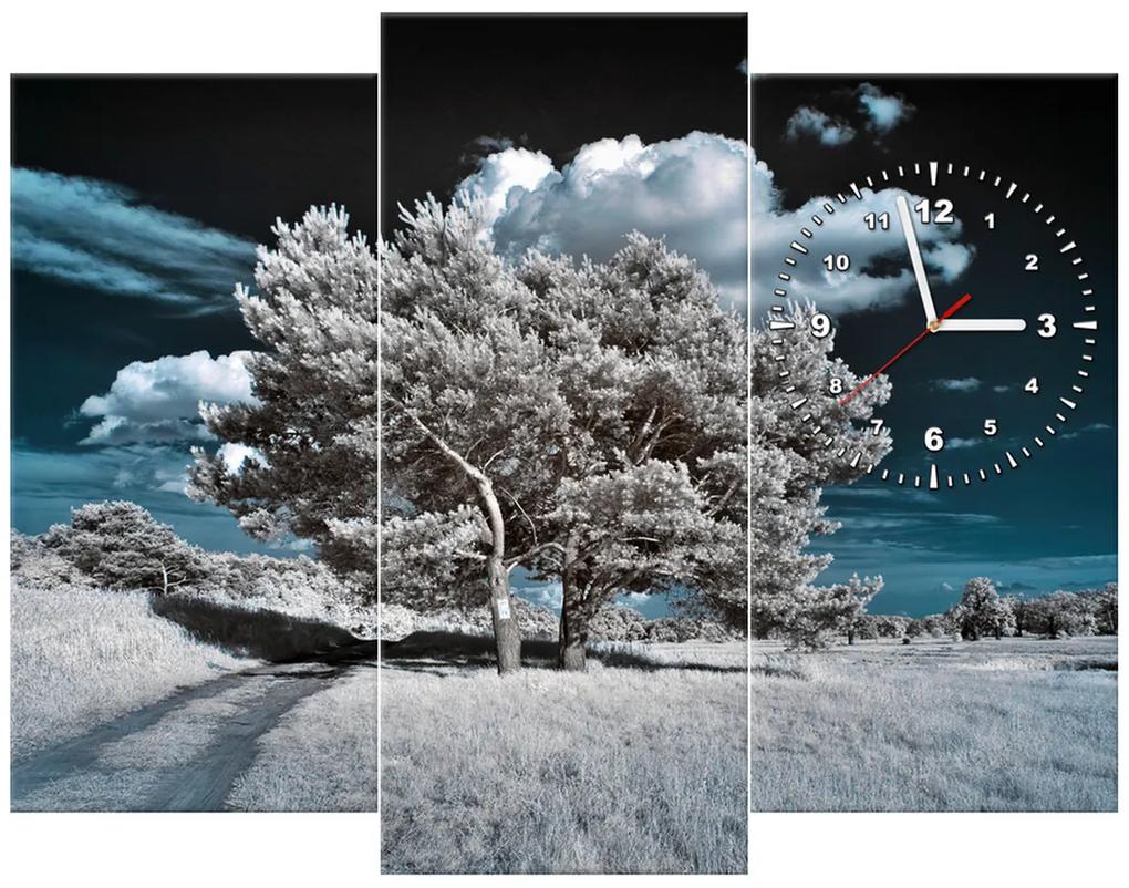 Gario Obraz s hodinami Záhadné silné stromy - 3 dílný Rozměry: 90 x 70 cm