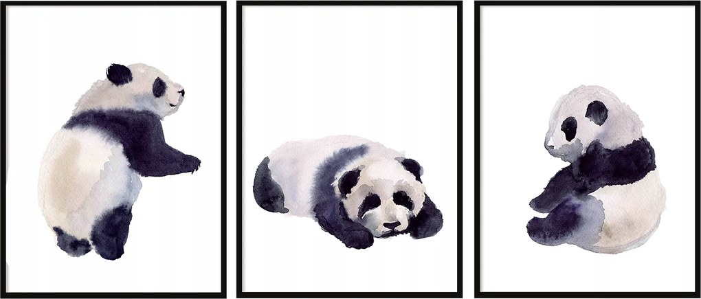Obraz Plakáty V Rámu 33x43 cm Triptych Sada 3 obrazů Panda Pandy PD292