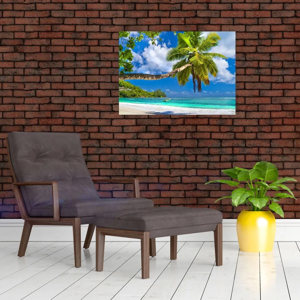 Skleněný obraz - Seychely (70x50 cm)