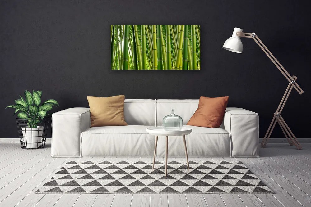 Obraz na plátně Bambusový Les Bambusové Výhonky 120x60 cm