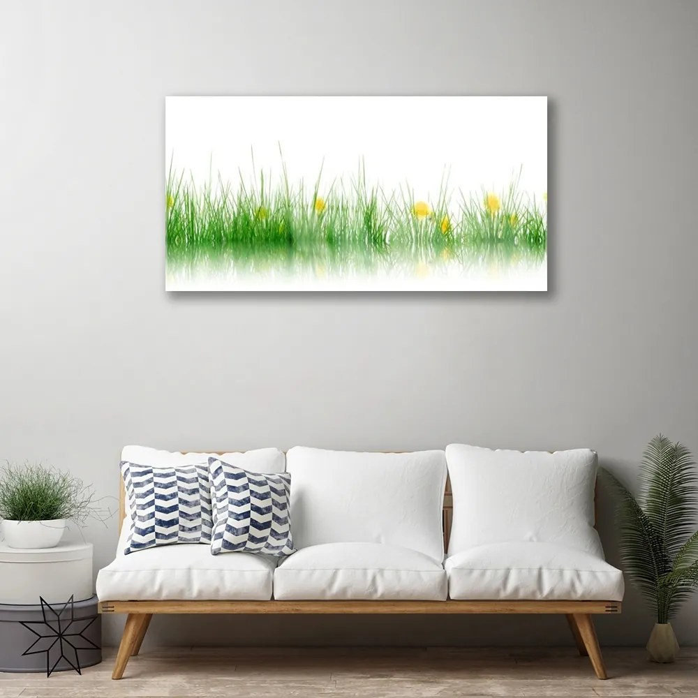 Obraz na skle Příroda Tráva Květiny 125x50 cm