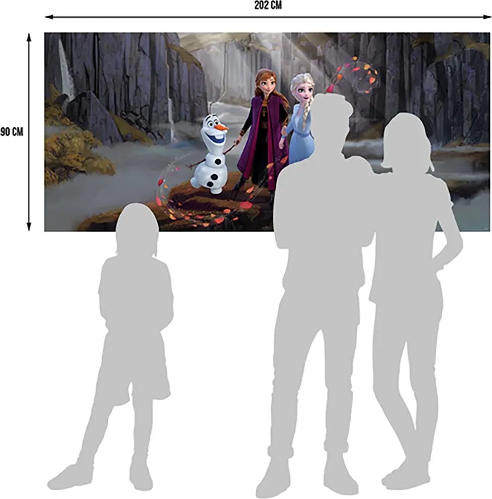 Dětská vliesová fototapeta na zed' Ledové království Rybník, Disney | 202 x 90 cm | DFTDNH 5386