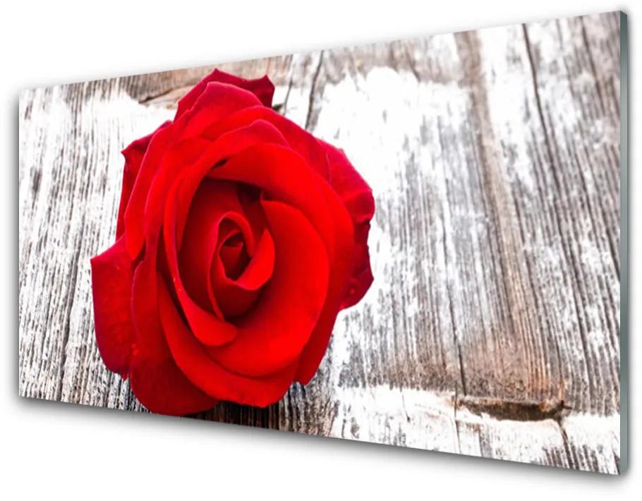 akrylový obraz Růže Květ Rostlina 120x60 cm