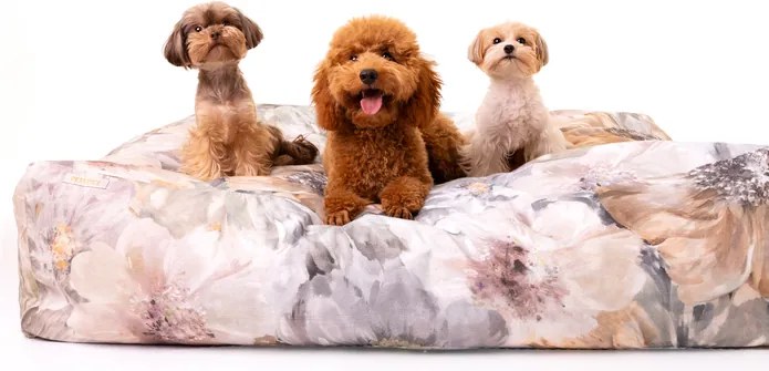 NORITA Ortopedický pelíšek pro psy květinová látka - béžová Velikost pelíšku: S (75 x 60 x 10 cm)
