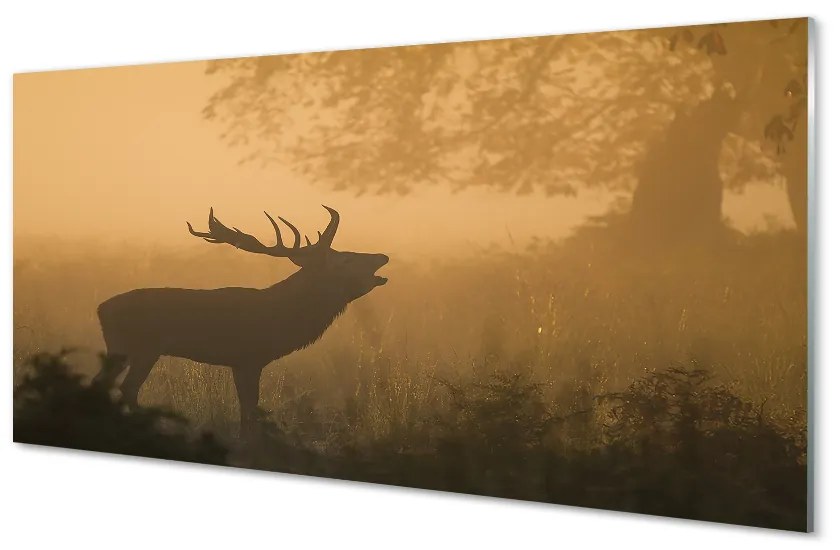 Obraz na skle jelen sunrise 120x60 cm