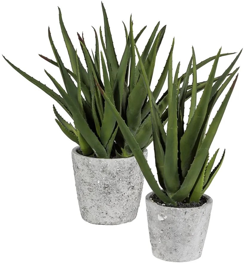 Gasper Aloe v květináči 44 cm x4 (vč.květináče)