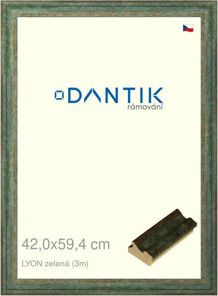 DANTIK rámeček 42x59,4 | LYON zelená (Plexi Čiré)