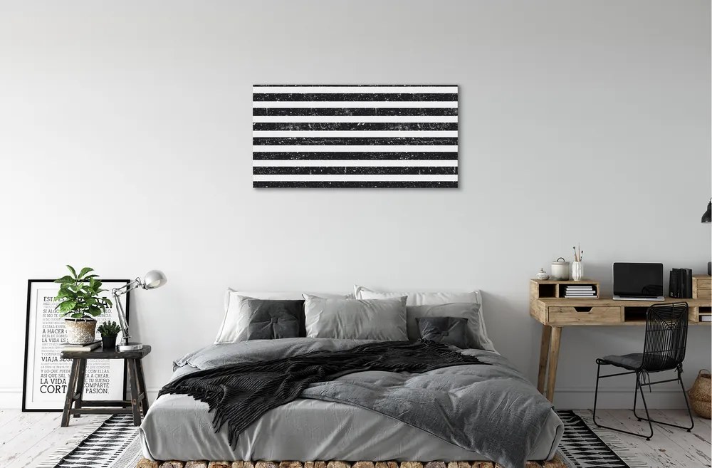 Obrazy na plátně Zebra pruhy skvrny 100x50 cm