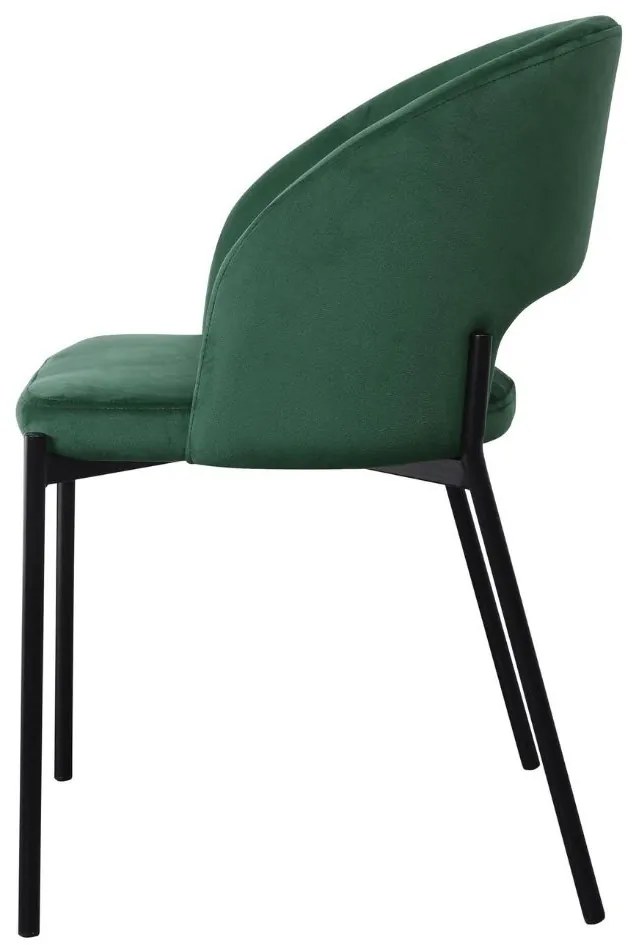 Jídelní židle Rao, zelená / černá