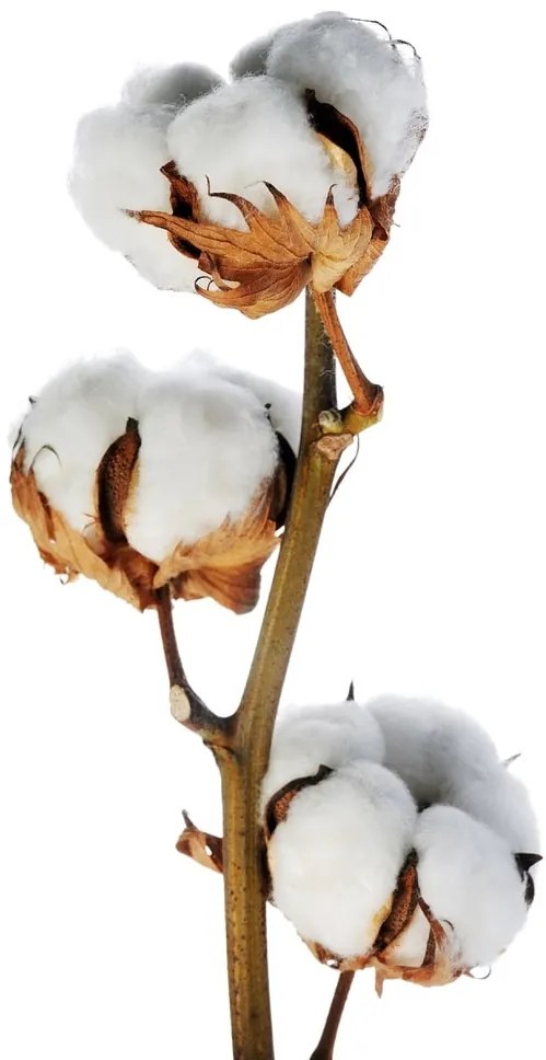 Gipetex Natural Dream 3D italské povlečení 100% bavlna Romantická zima - 140x200 / 70x90 cm