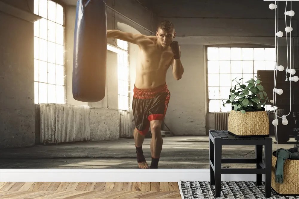 Fototapeta Tréninkový Boxer Strukturální vinyl 90x60