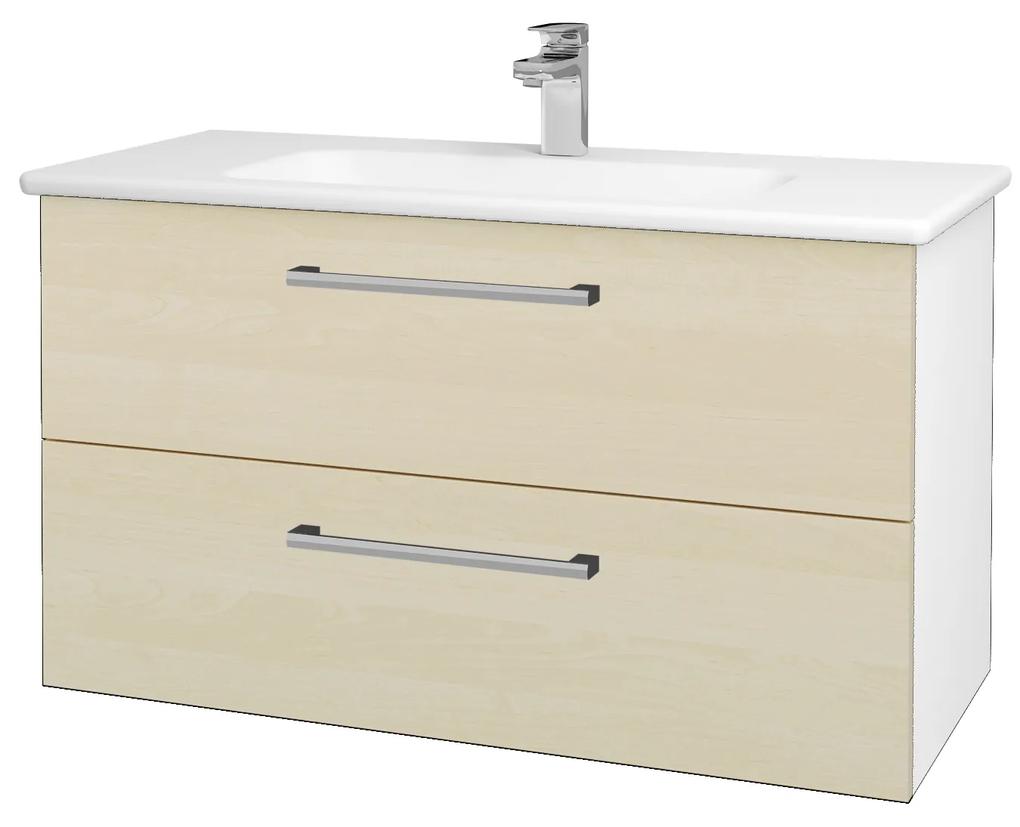 Dřevojas Koupelnová skříň GIO SZZ2 100 Varianta: N01 Bílá lesk / Úchytka T01 / D06 Ořech