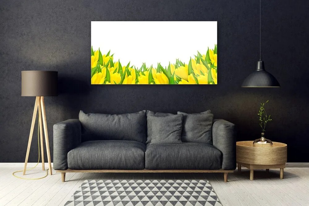 Plexisklo-obraz Květiny Příroda Tulipány 120x60 cm