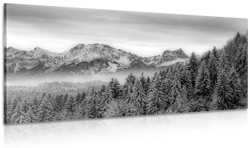 Obraz zamrzlé hory v černobílém provedení - 120x60 cm