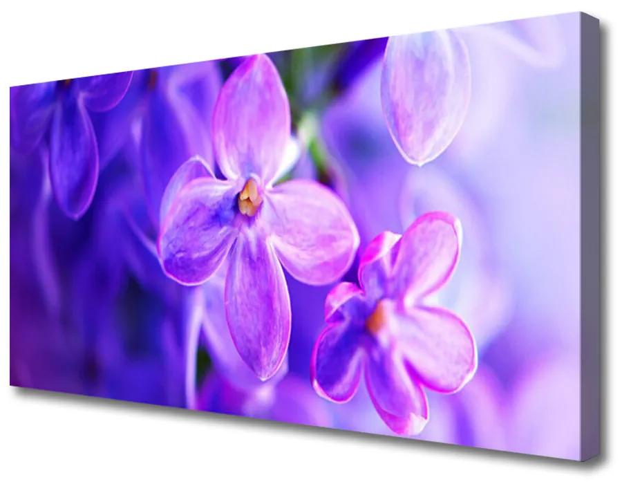Obraz na plátně Fialové Květiny Příroda 100x50 cm