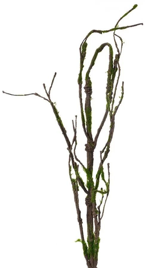 Dekorace hnědá větvička se zeleným mechem - 28*5*130 cm