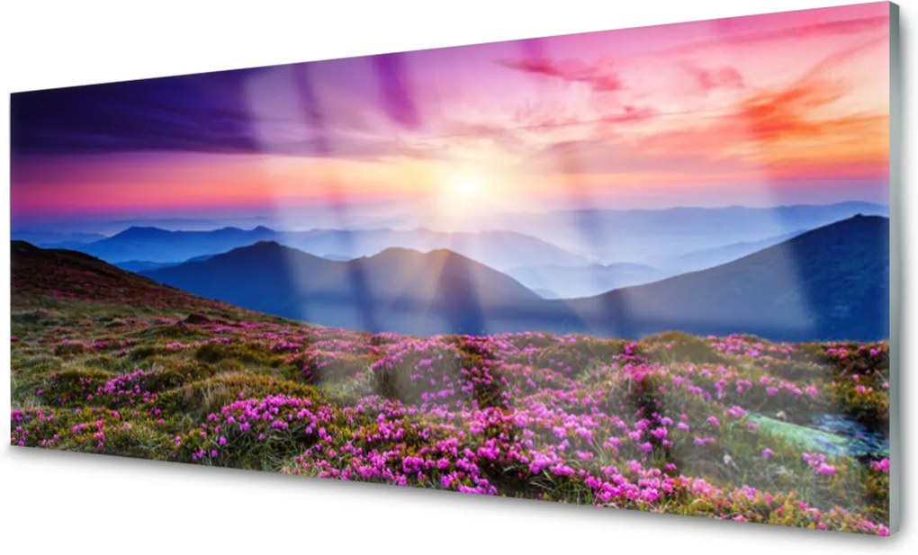 Plexisklo obraz Hora Louka Slunce Krajina