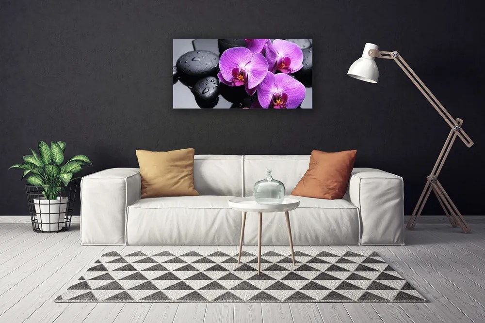 Obraz na plátně Květ Kameny 140x70 cm