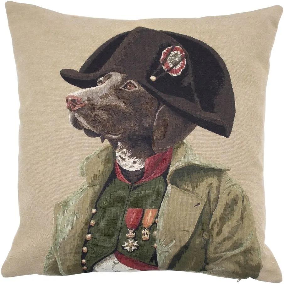 Béžový gobelínový polštář s motivem psa v napoleonské uniformě - 45*15*45cm