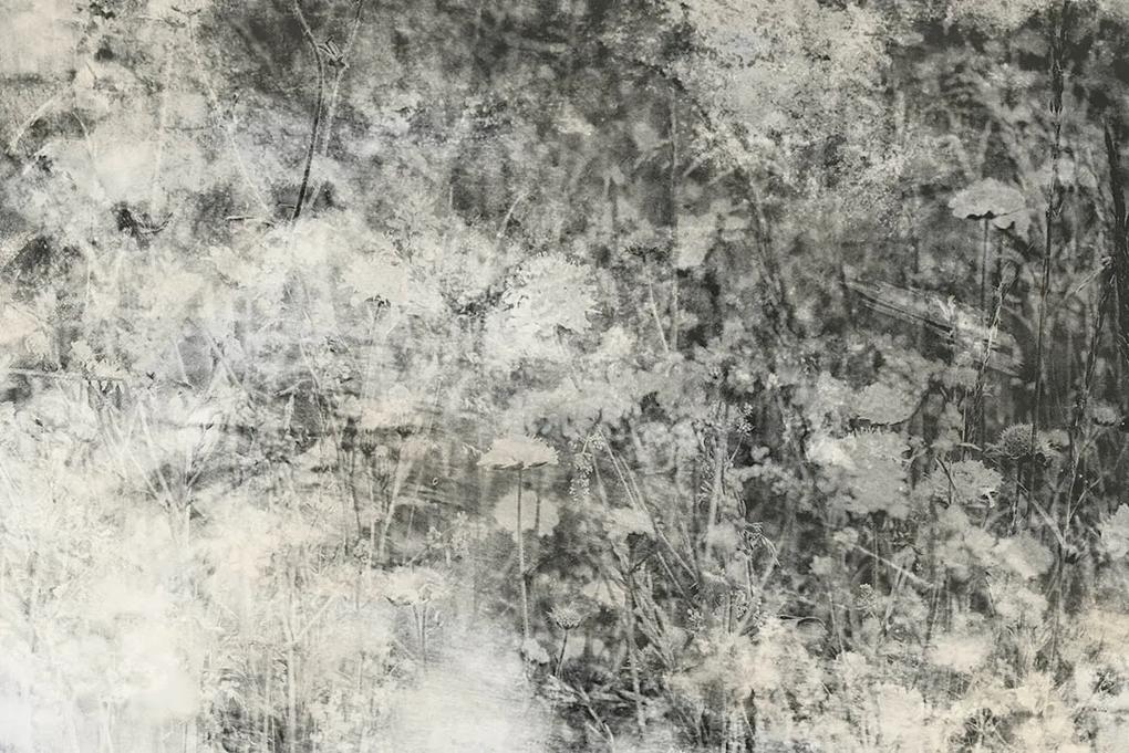 DIMEX | Samolepicí vliesová fototapeta na zeď Přírodní šedý abstrakt MA-5-0361 | 375 x 250 cm | černá, šedá
