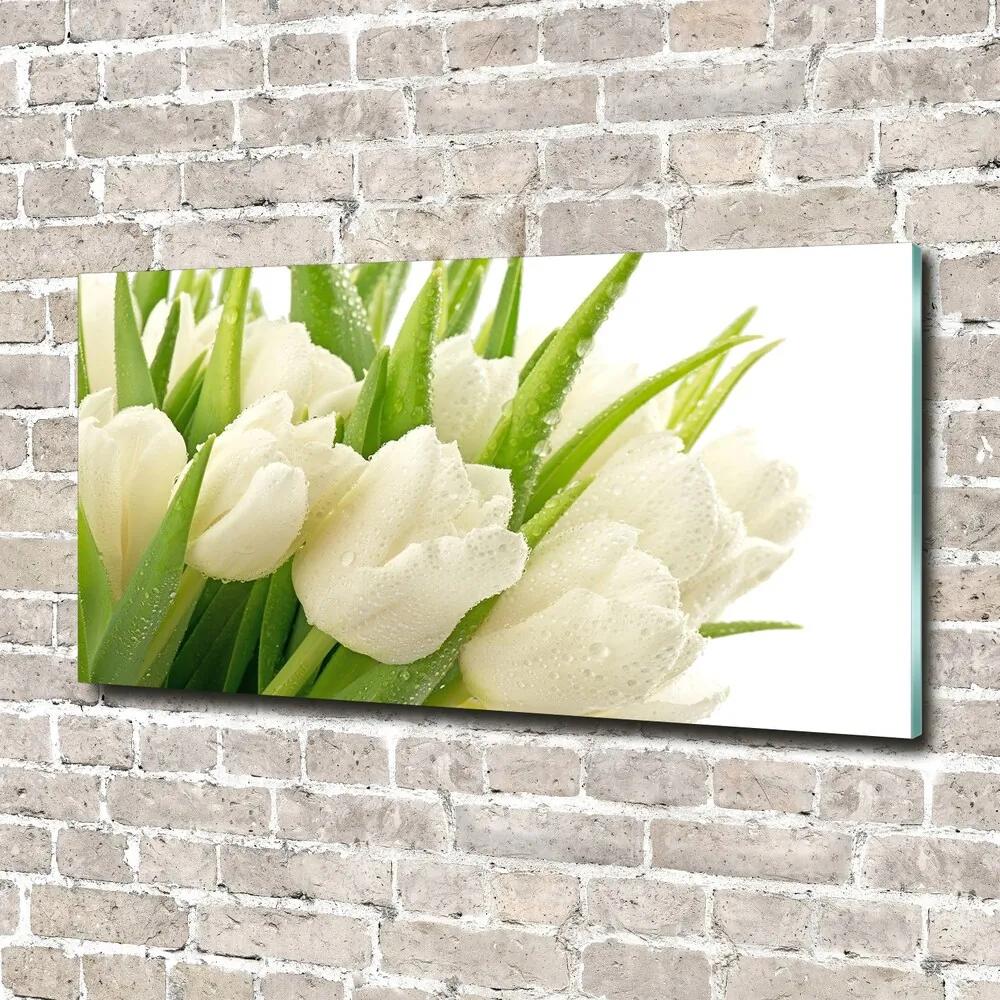 Wallmuralia Moderní foto obraz na stěnu Bílé tulipány 140x70 cm