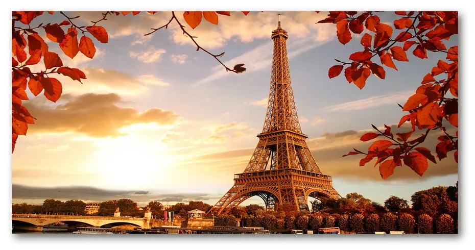 Wallmuralia Foto obraz akryl do obýváku Eiffelova věž Paříž 120x60 cm