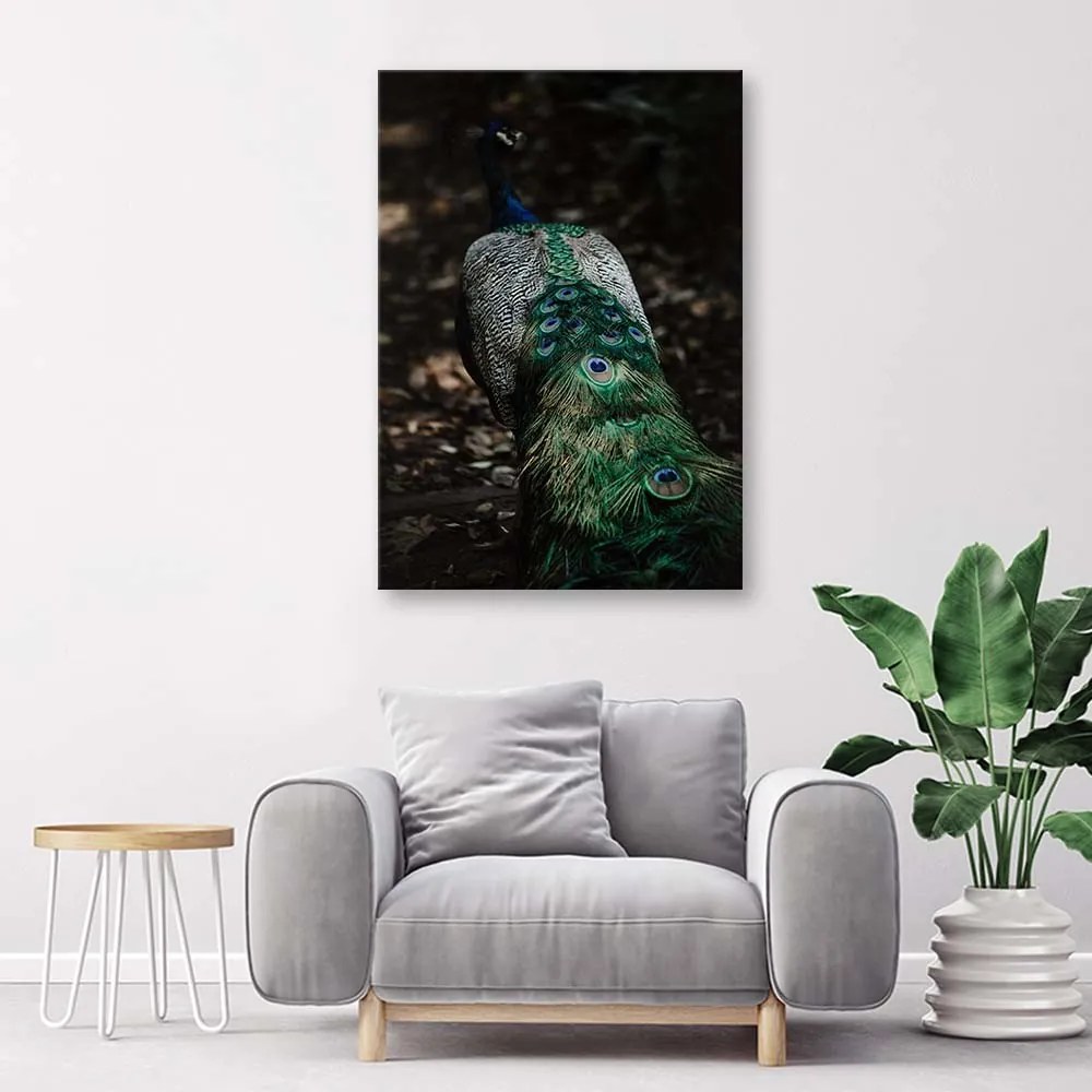 Gario Obraz na plátně Paví ocas Rozměry: 40 x 60 cm