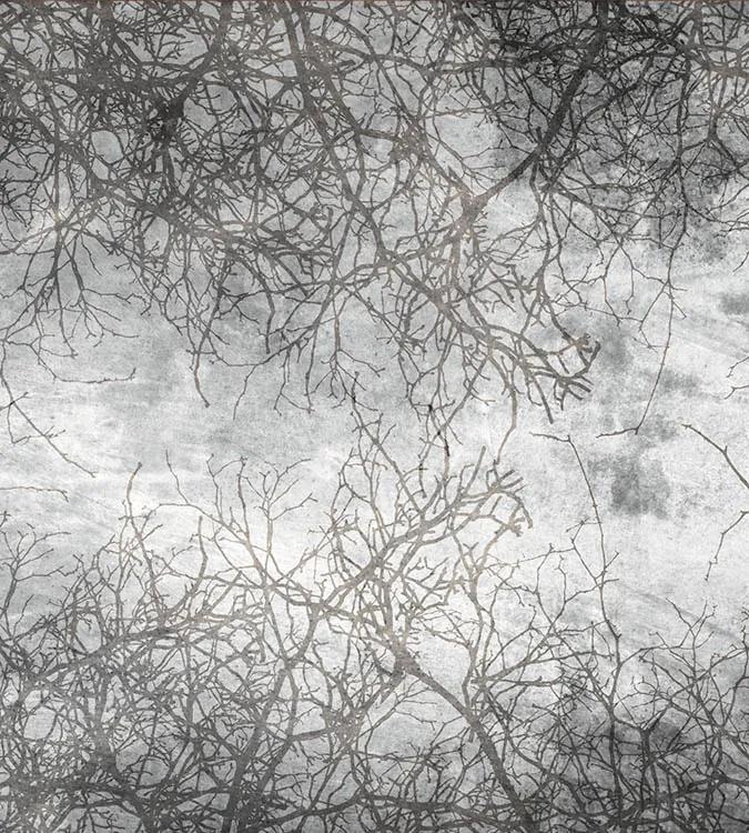 DIMEX | Vliesová fototapeta na zeď Abstrakt větve MS-3-0386 | 225 x 250 cm | černá, šedá