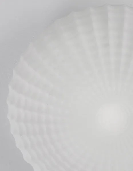 Designové stropní svítidlo Clam 30 bílé