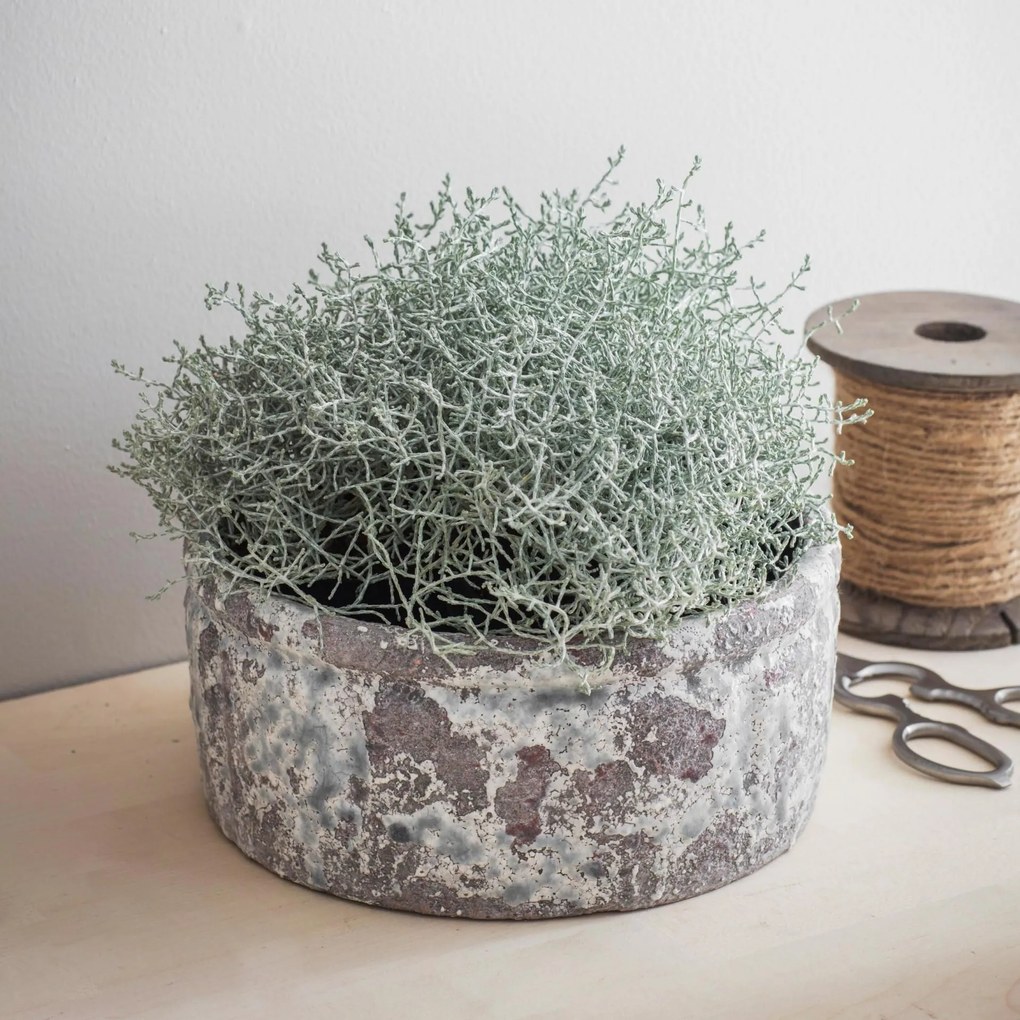 Garden Trading Obal na květiny Withington 24cm, šedá barva, keramika 24,5cmx11cm
