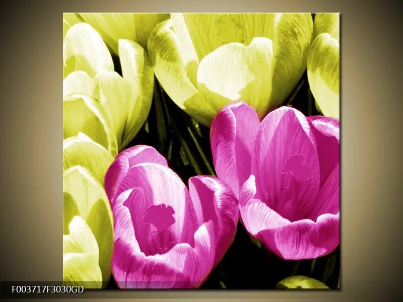 Obraz fialových a zelených květin  (), 40 dalších rozměrů