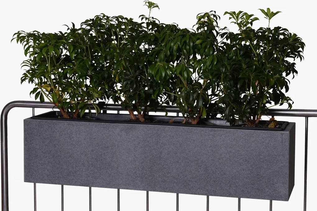 Balkonový truhlík BENNO, vláknocement, šířka 82 cm, šedý